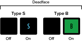 VIVISUN® – Switches, Cap Display Features